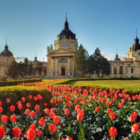 All You Need to Know About Visiting Budapest in November